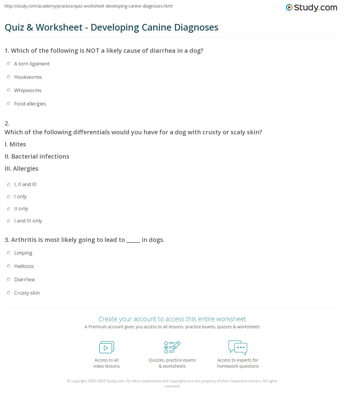 Quiz & Worksheet - Developing Canine Diagnoses | Study.com