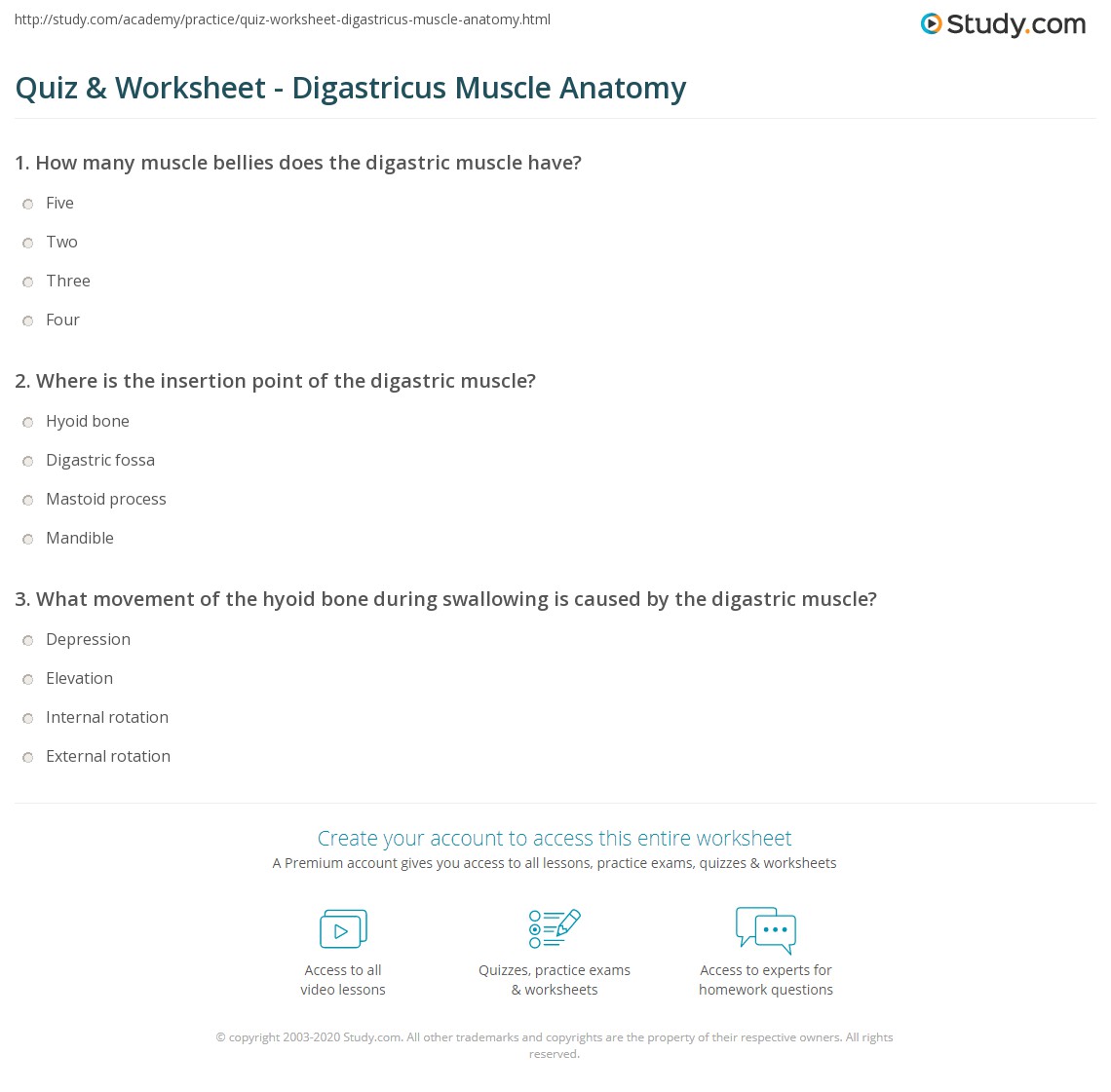 Quiz & Worksheet - Digastricus Muscle Anatomy | Study.com