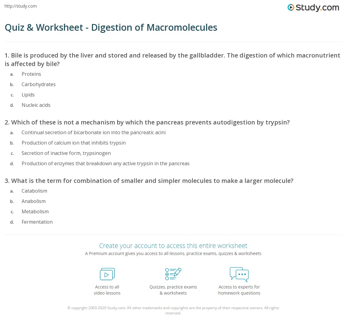 Quiz & Worksheet - Digestion of Macromolecules | Study.com