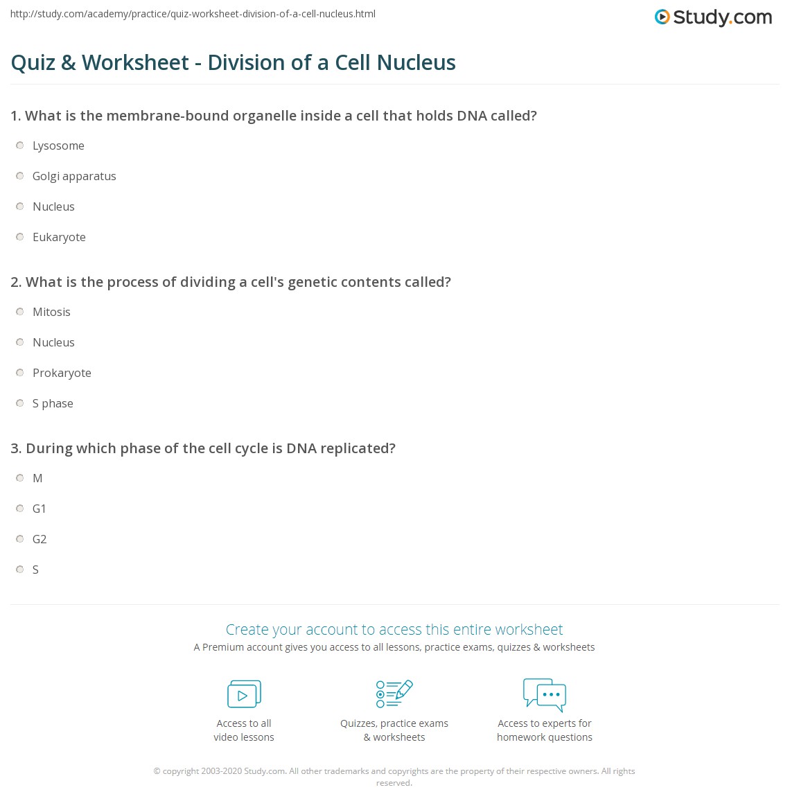 Quiz & Worksheet - Division of a Cell Nucleus | Study.com
