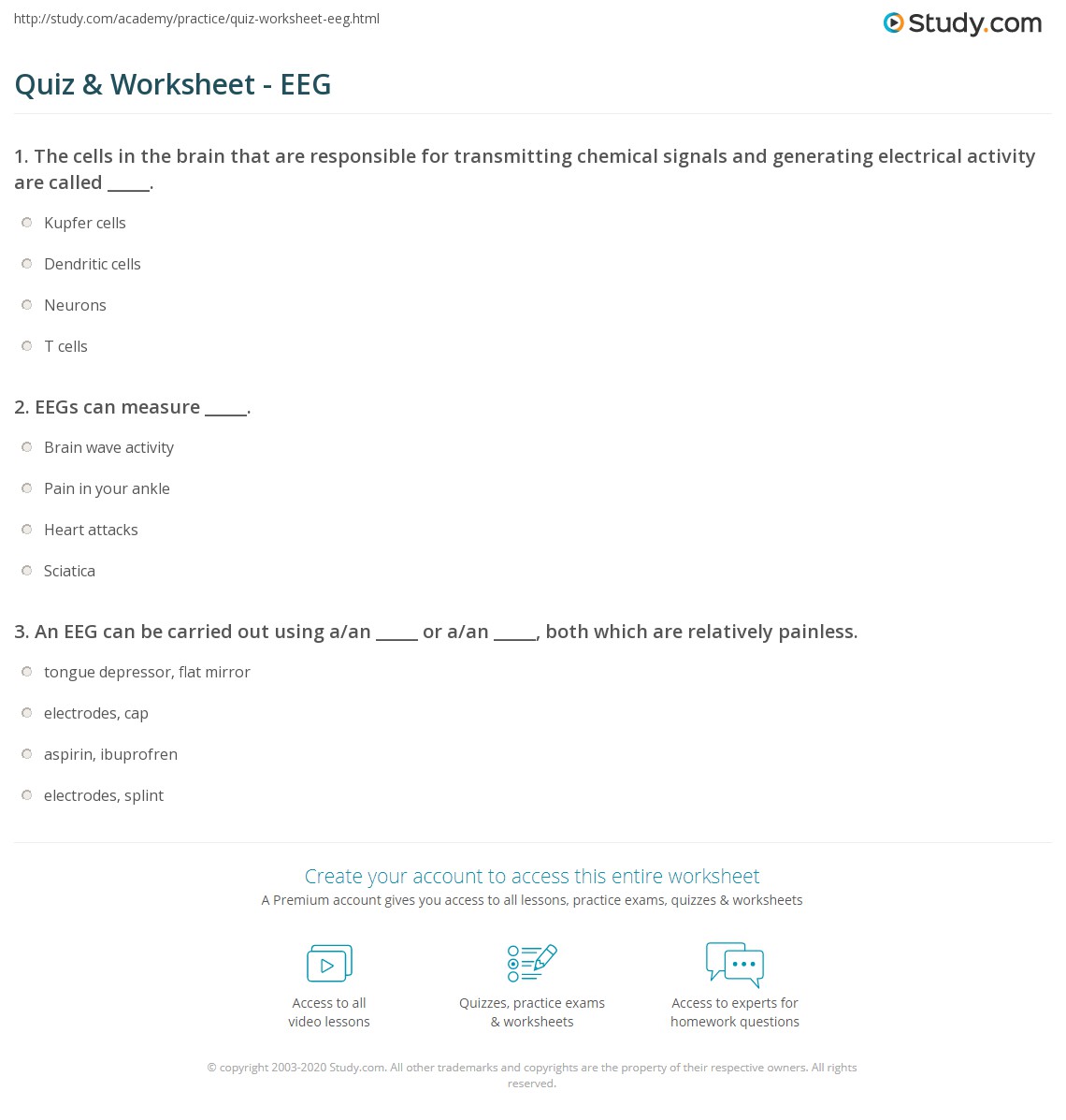 Quiz & Worksheet - EEG | Study.com