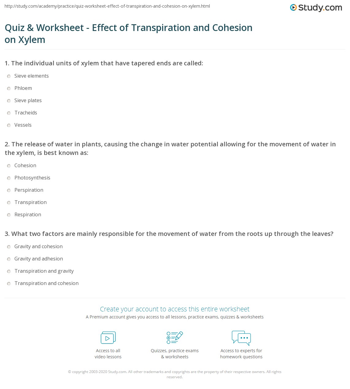 Quiz & Worksheet - Effect of Transpiration and Cohesion on Xylem ...