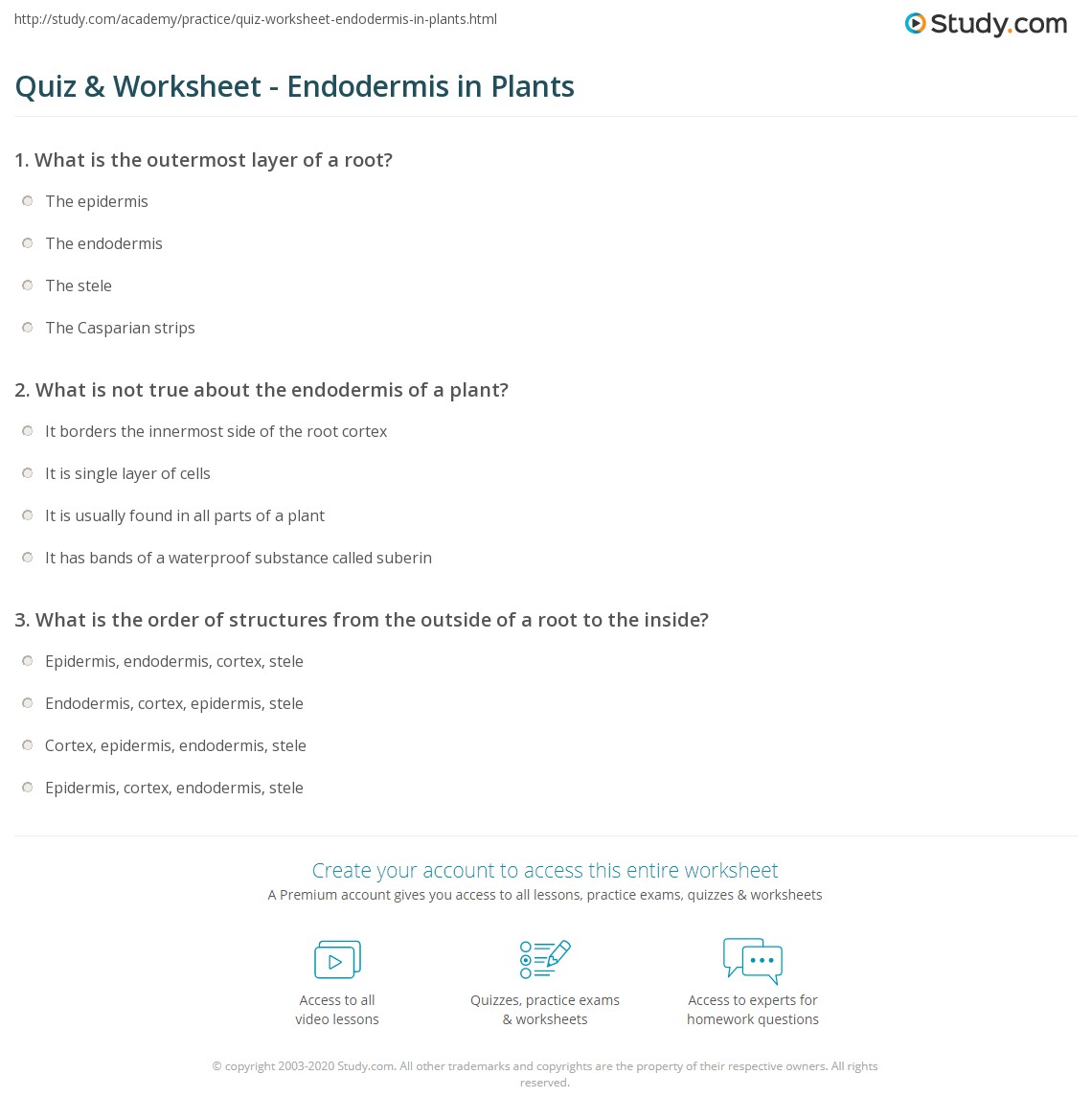 Quiz & Worksheet - Endodermis in Plants | Study.com