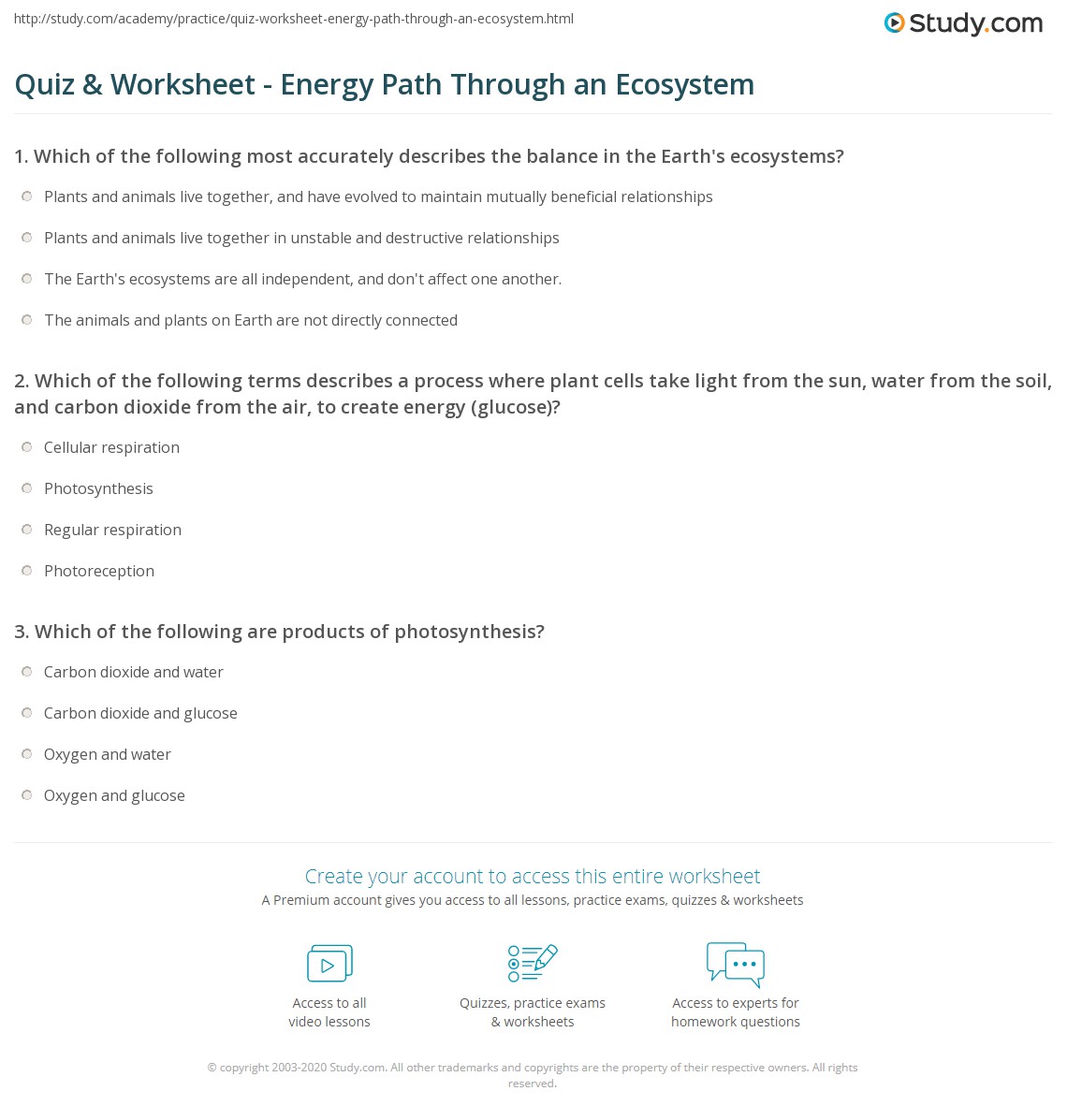 Quiz & Worksheet - Energy Path Through an Ecosystem | Study.com