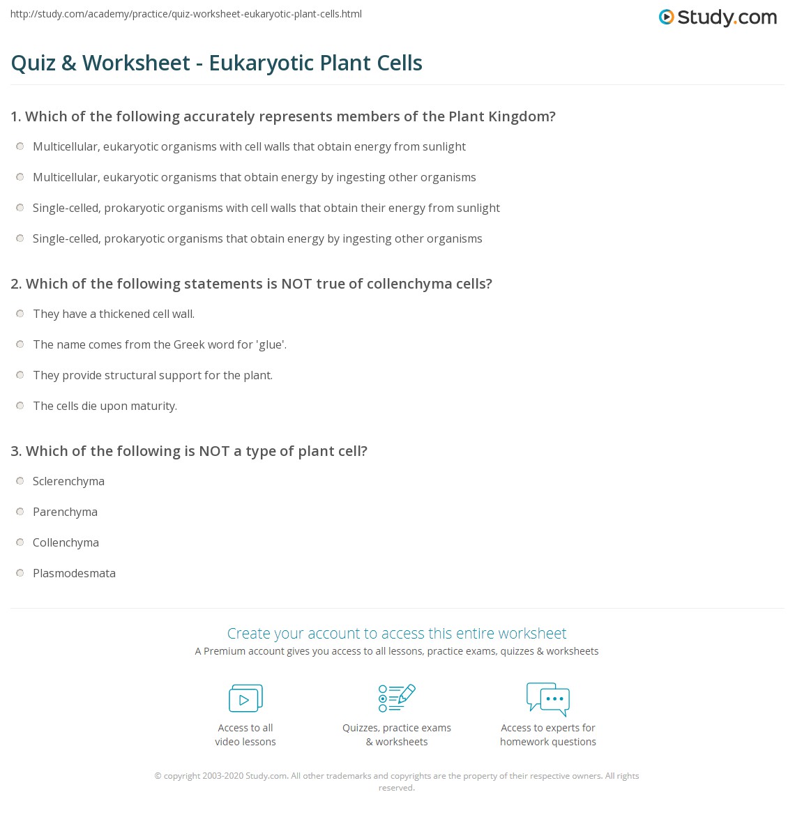 Quiz & Worksheet - Eukaryotic Plant Cells | Study.com
