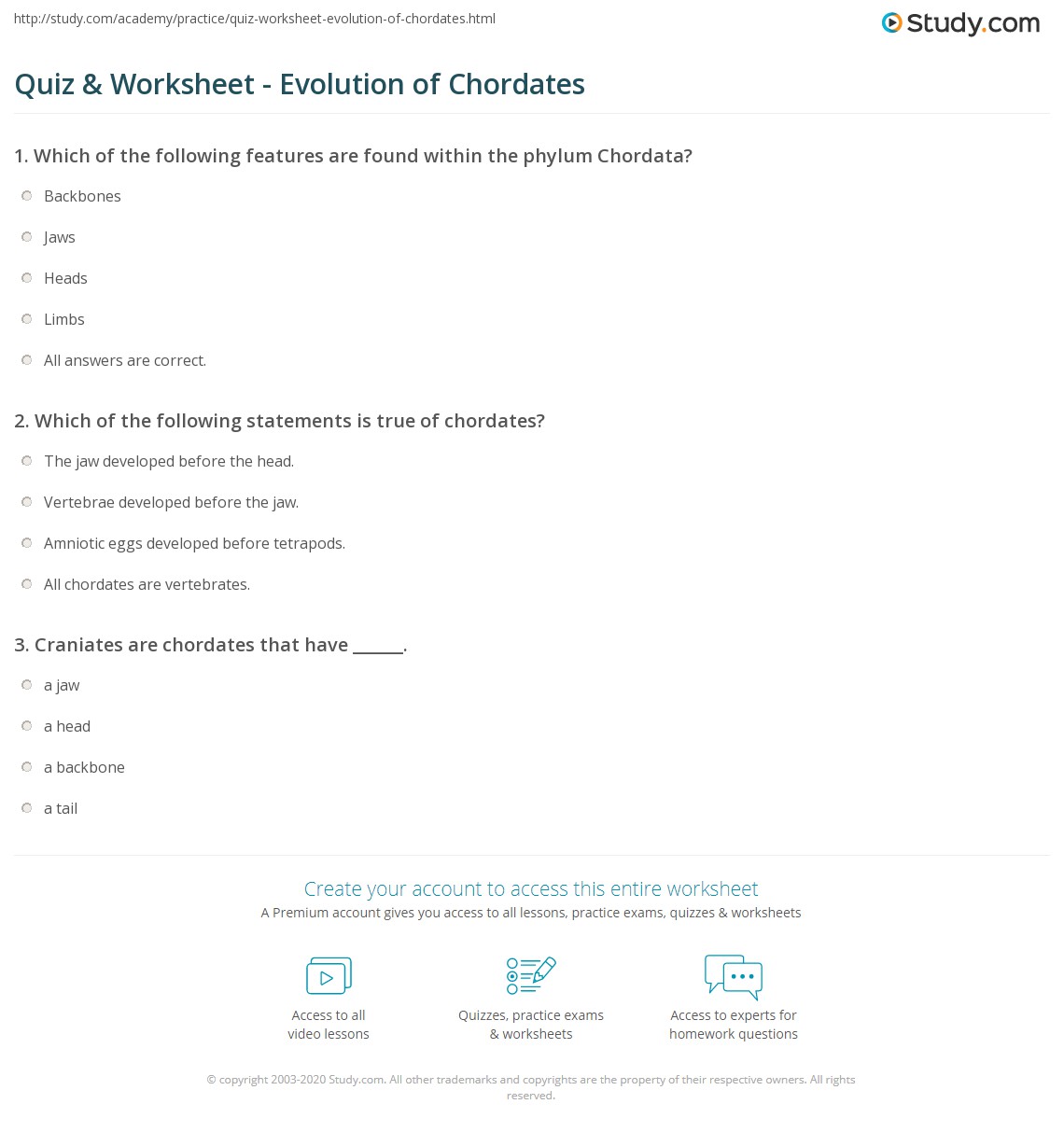 Quiz & Worksheet - Evolution of Chordates | Study.com