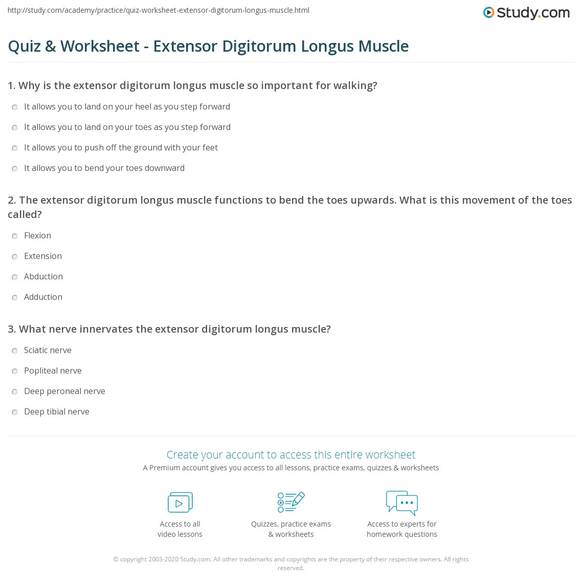 Quiz & Worksheet - Extensor Digitorum Longus Muscle | Study.com