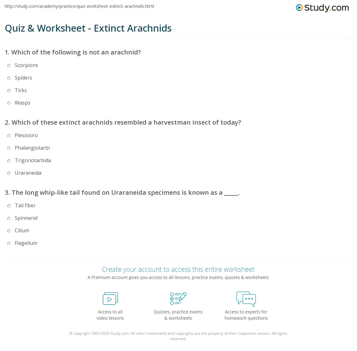 Quiz & Worksheet - Extinct Arachnids | Study.com