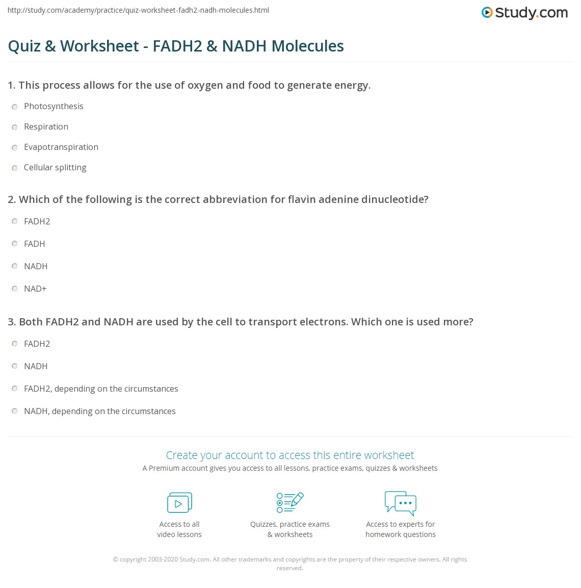 Quiz & Worksheet - FADH2 & NADH Molecules | Study.com