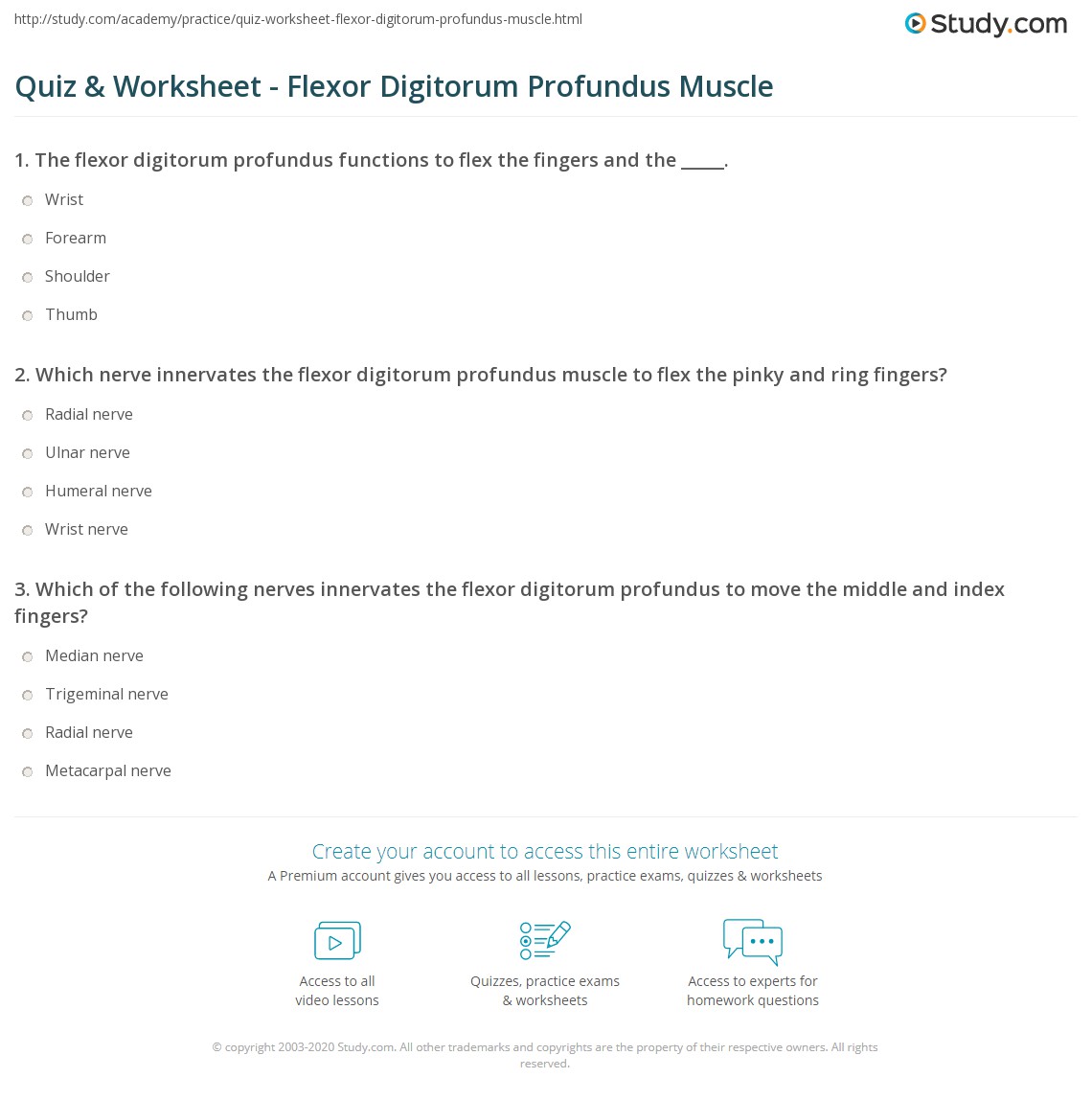 Quiz & Worksheet - Flexor Digitorum Profundus Muscle | Study.com