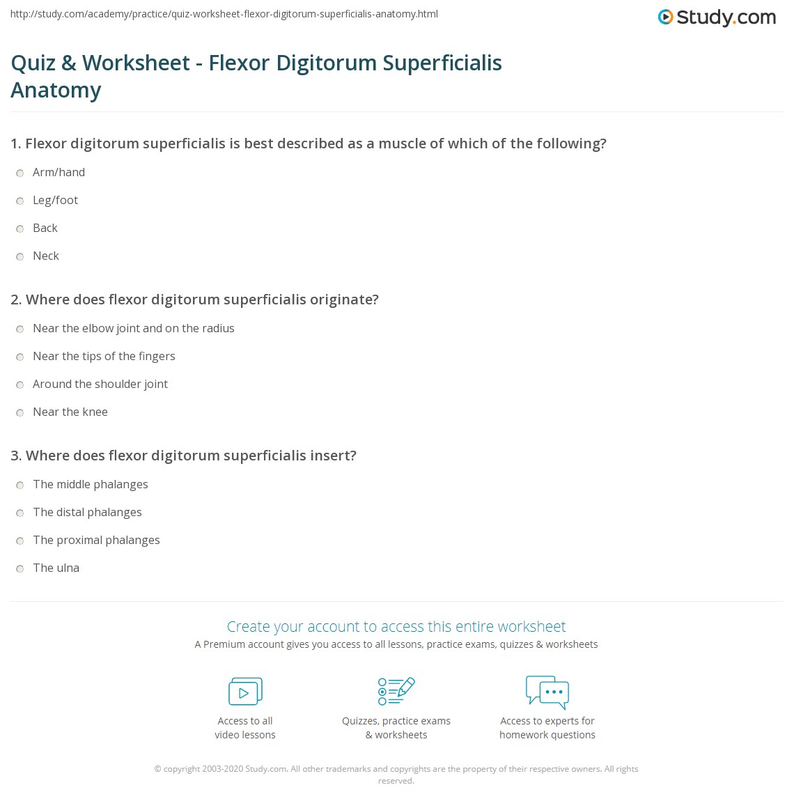 Quiz & Worksheet - Flexor Digitorum Superficialis Anatomy | Study.com
