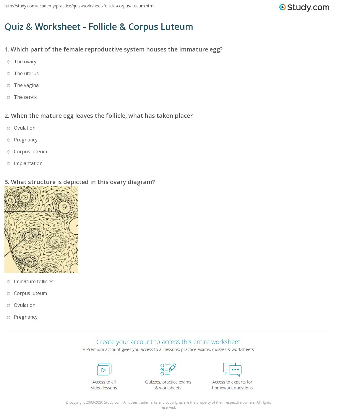 Quiz & Worksheet - Follicle & Corpus Luteum | Study.com