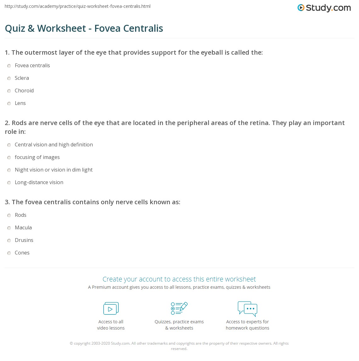 Quiz & Worksheet - Fovea Centralis | Study.com