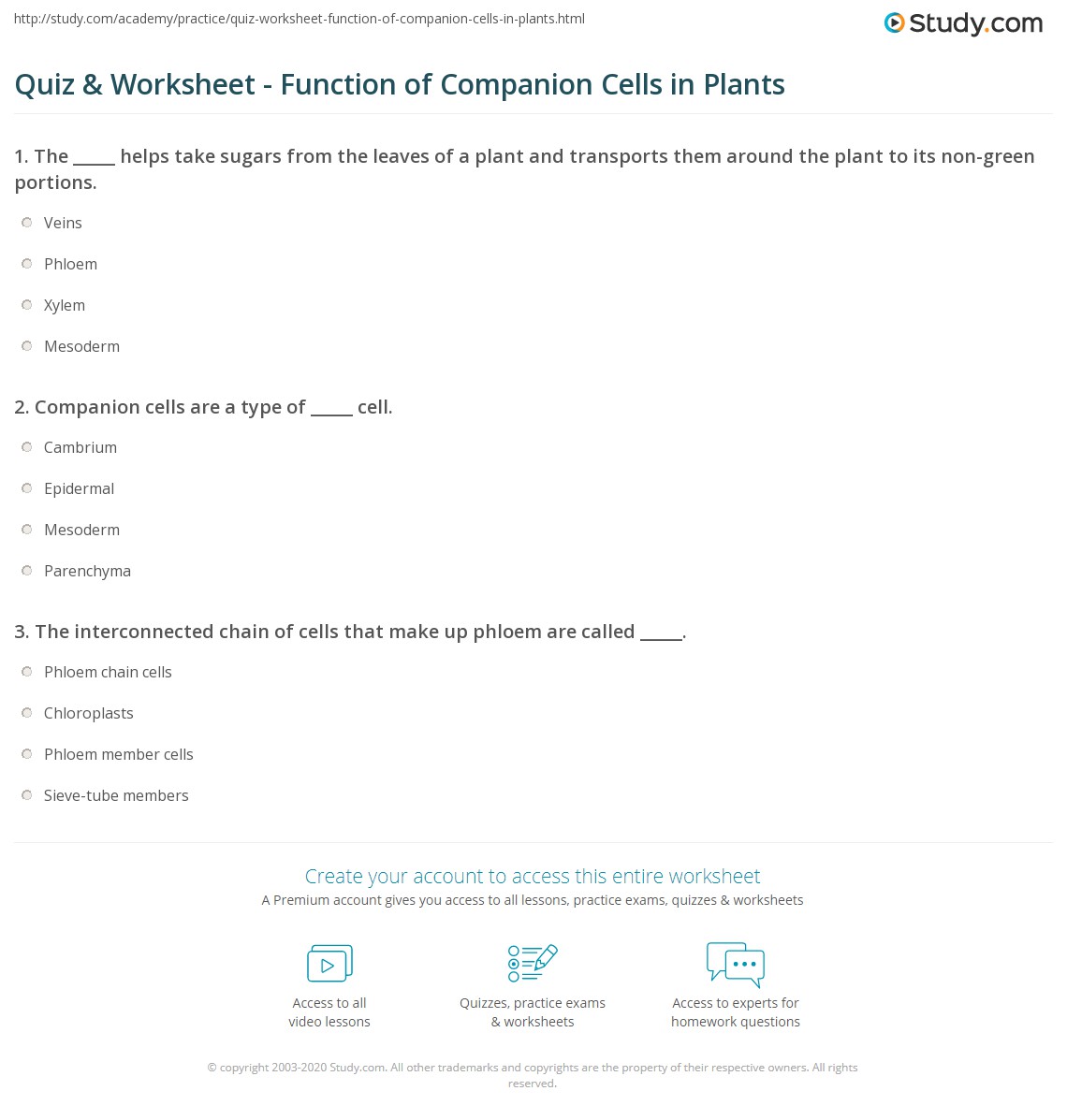 Quiz & Worksheet - Function of Companion Cells in Plants | Study.com