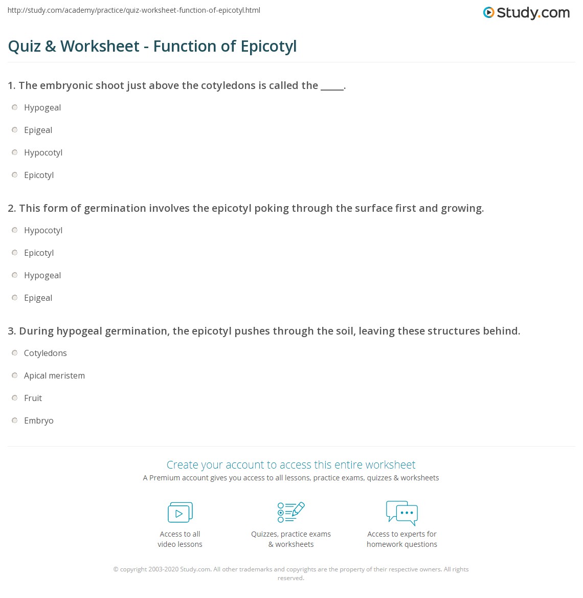 Quiz & Worksheet - Function of Epicotyl | Study.com