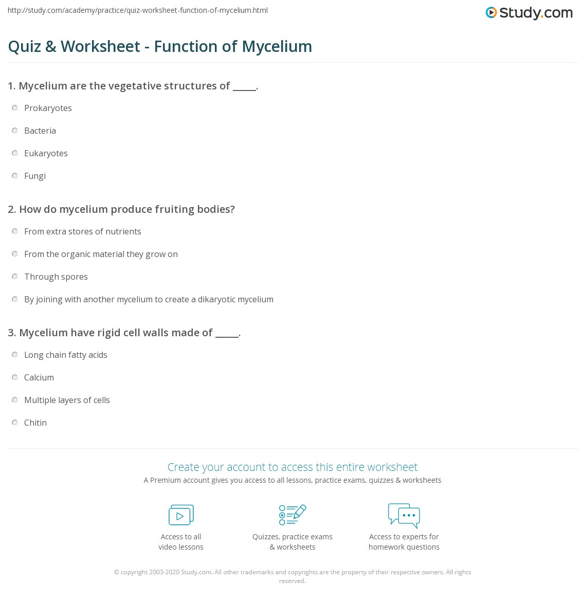 Quiz & Worksheet - Function of Mycelium | Study.com