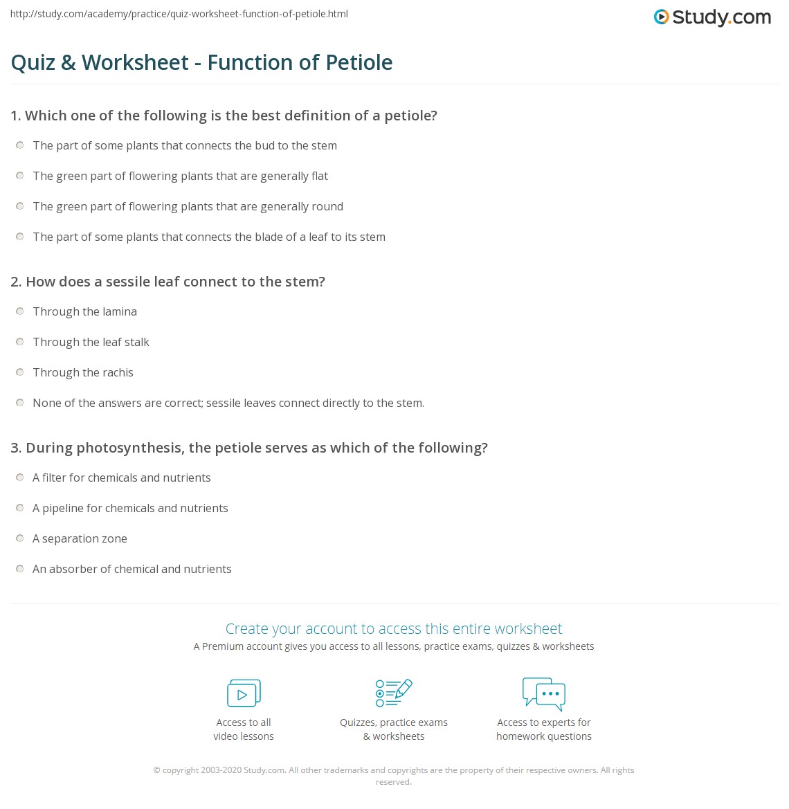 Quiz & Worksheet - Function of Petiole | Study.com