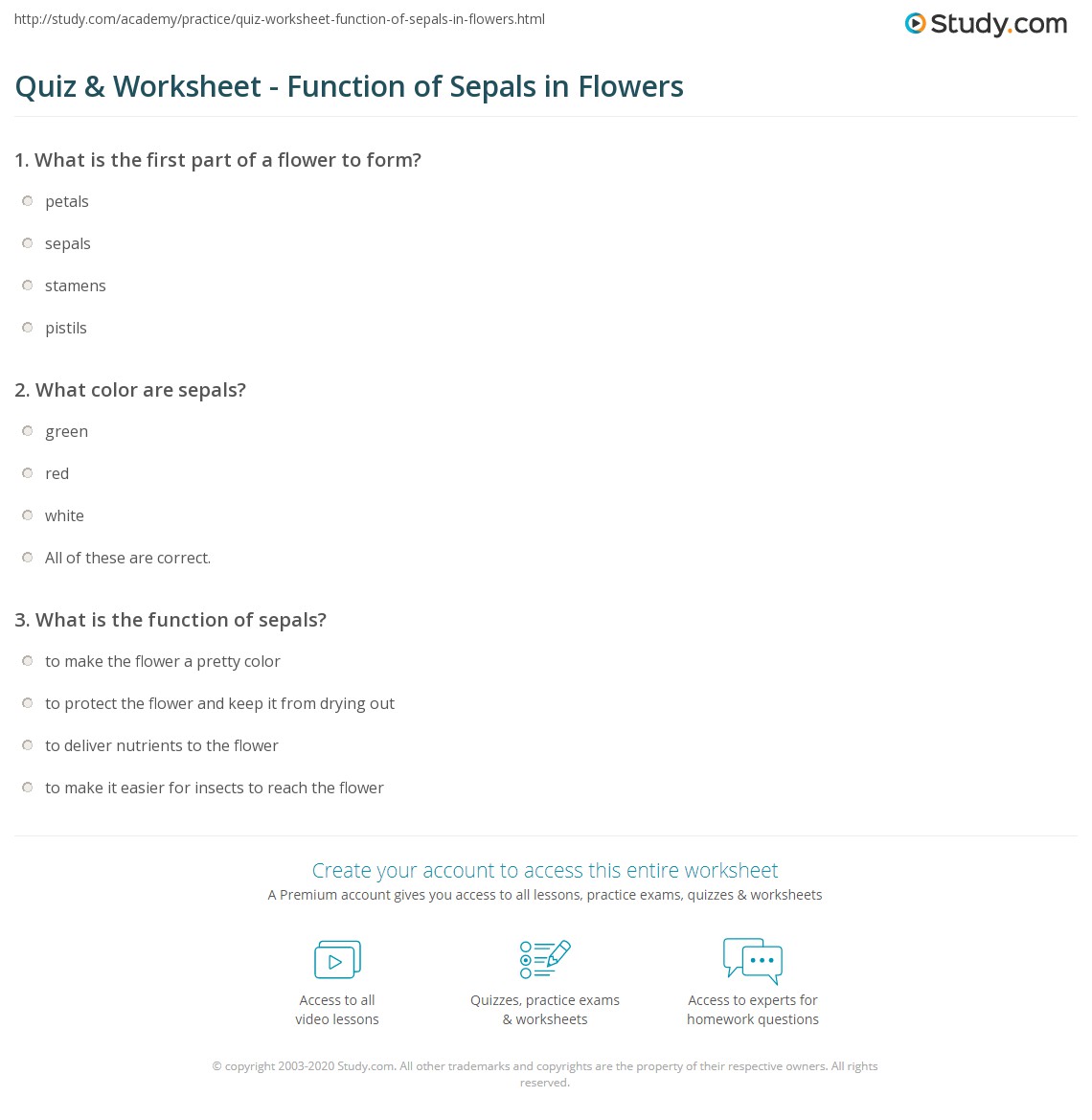 Quiz & Worksheet - Function of Sepals in Flowers | Study.com