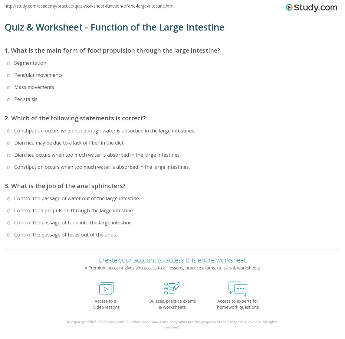 Quiz & Worksheet - Function of the Large Intestine | Study.com