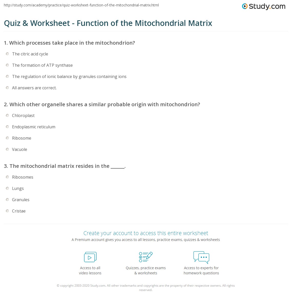 Quiz & Worksheet - Function of the Mitochondrial Matrix | Study.com