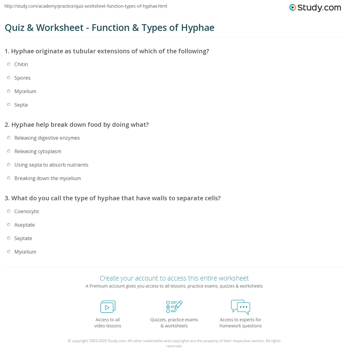 Quiz & Worksheet - Function & Types of Hyphae | Study.com