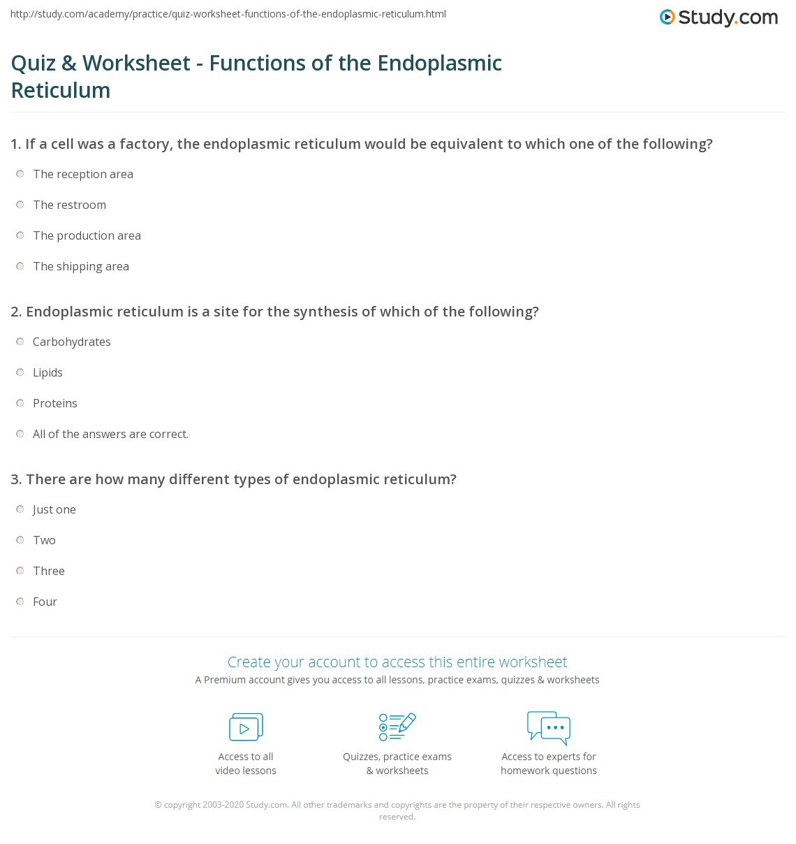 Endoplasmic Reticulum Definition With Function Qs Study