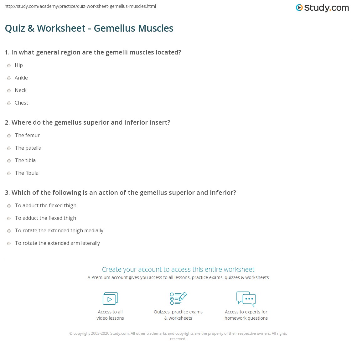 Quiz & Worksheet - Gemellus Muscles | Study.com