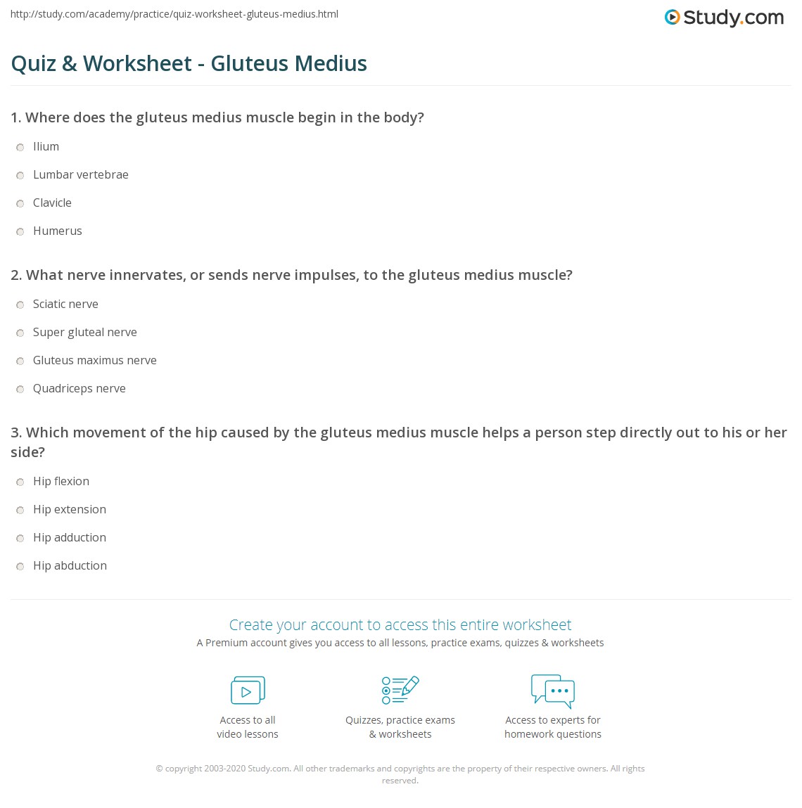 Quiz & Worksheet - Gluteus Medius | Study.com