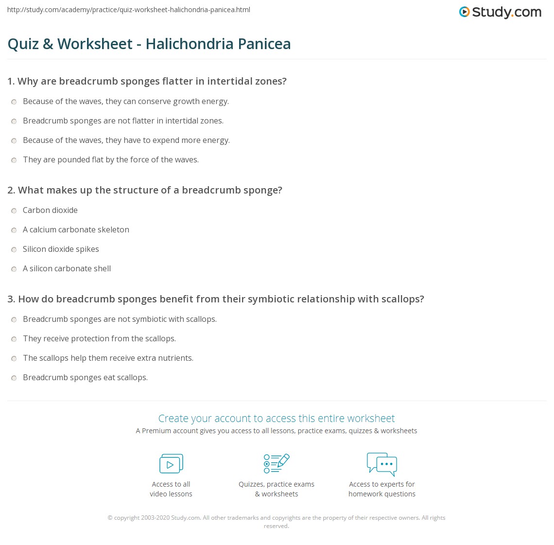Quiz & Worksheet - Halichondria Panicea | Study.com