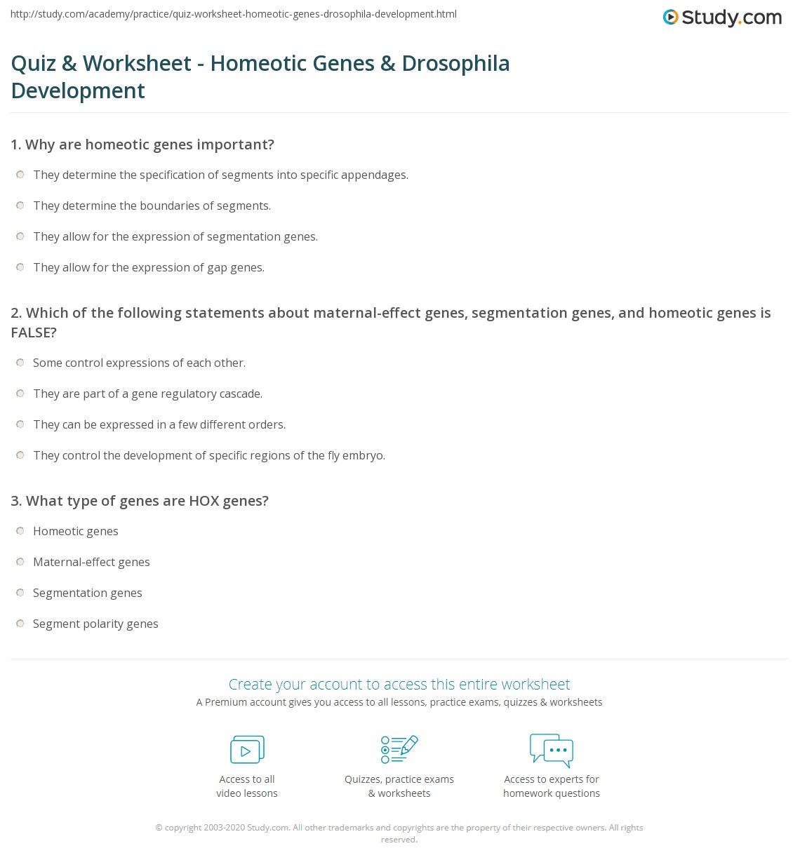 Quiz & Worksheet - Homeotic Genes & Drosophila Development | Study.com