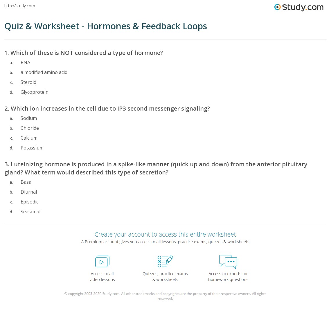 Quiz & Worksheet - Hormones & Feedback Loops | Study.com