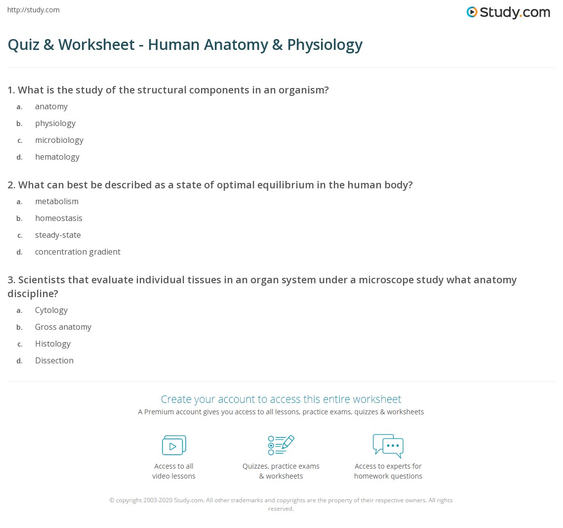 Anatomy And Physiology Worksheet Answer Key Anatomy And Physiology Worksheet Answer Key