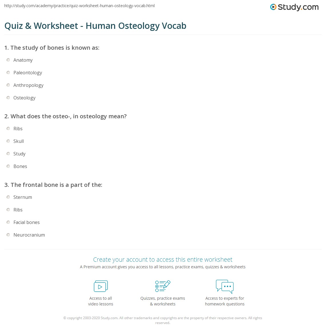 Quiz & Worksheet - Human Osteology Vocab | Study.com