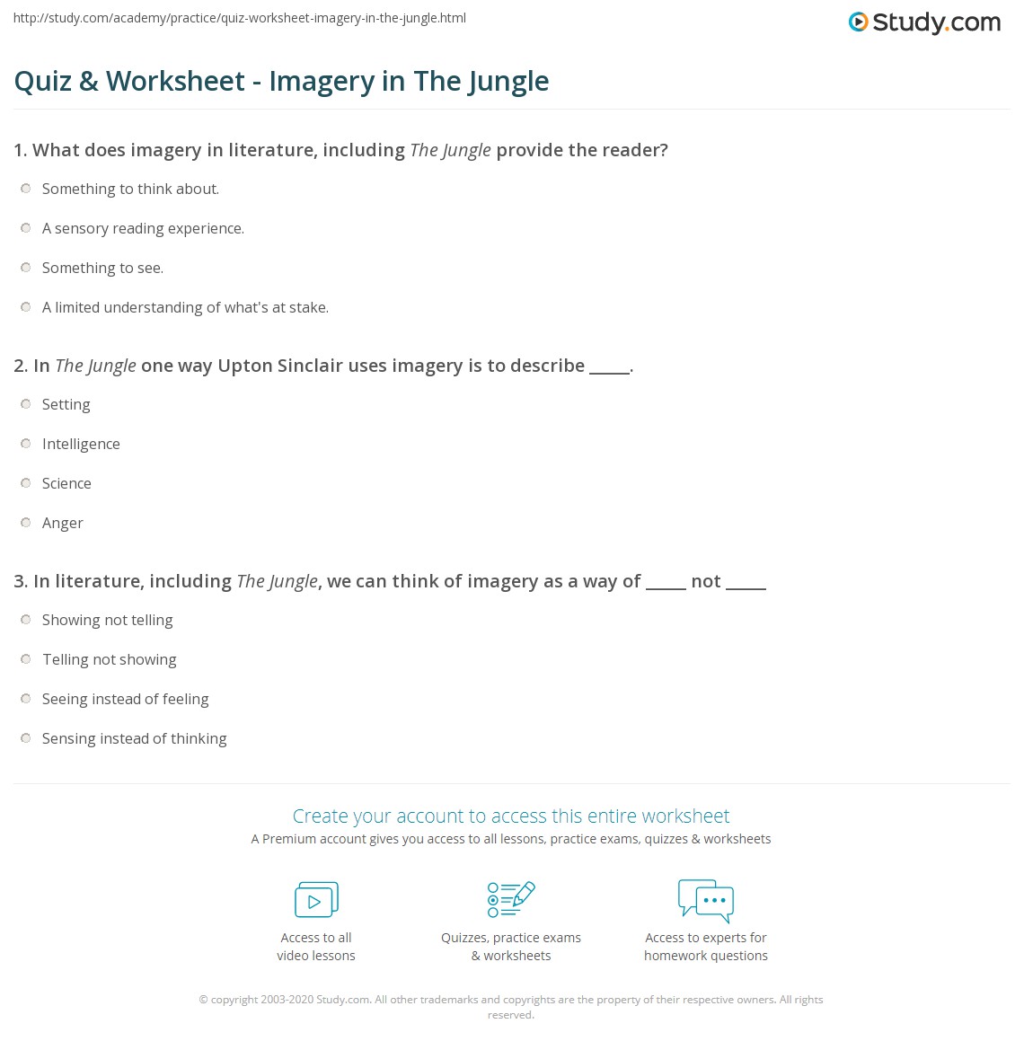 Quiz & Worksheet - Imagery in The Jungle | Study.com