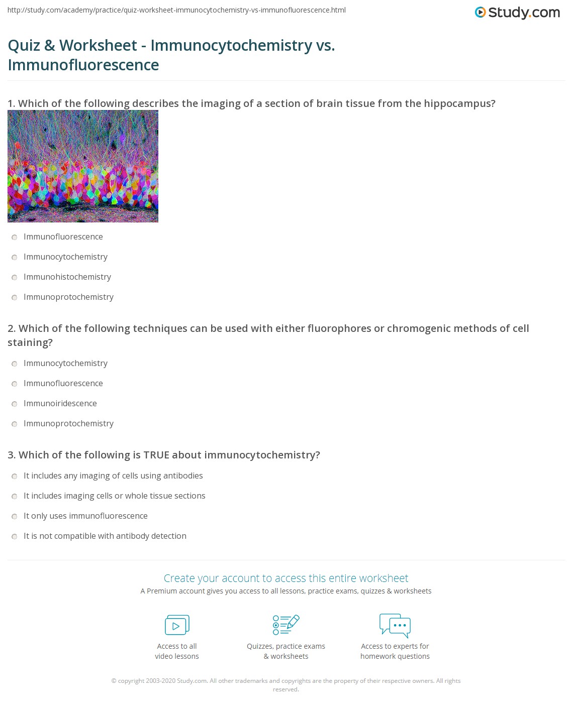 Quiz & Worksheet - Immunocytochemistry vs. Immunofluorescence | Study.com