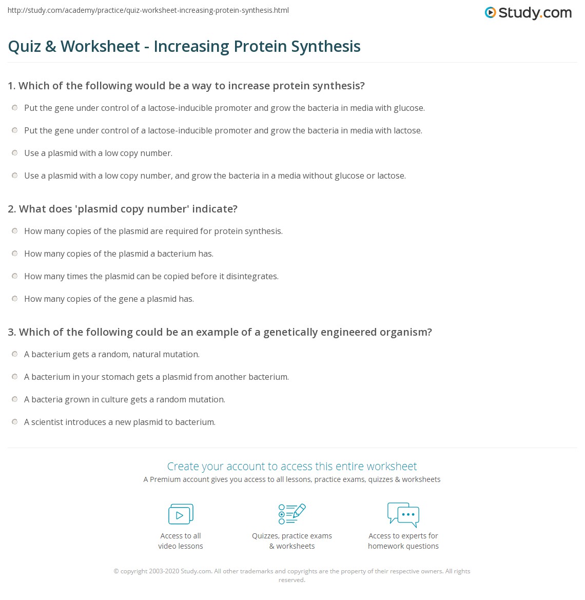 Quiz & Worksheet - Increasing Protein Synthesis | Study.com