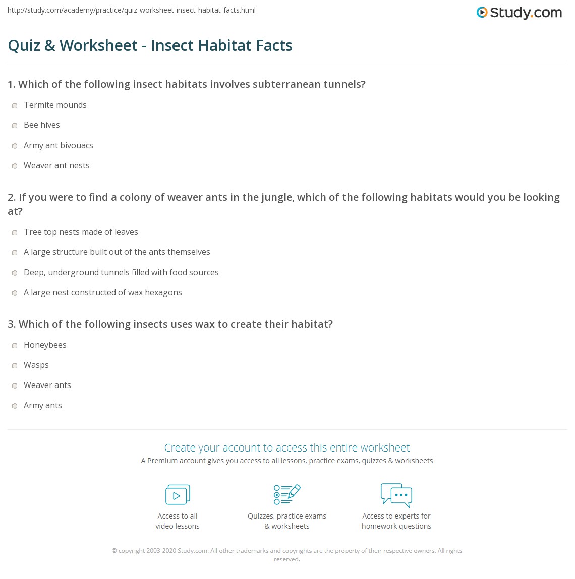 Quiz & Worksheet - Insect Habitat Facts | Study.com
