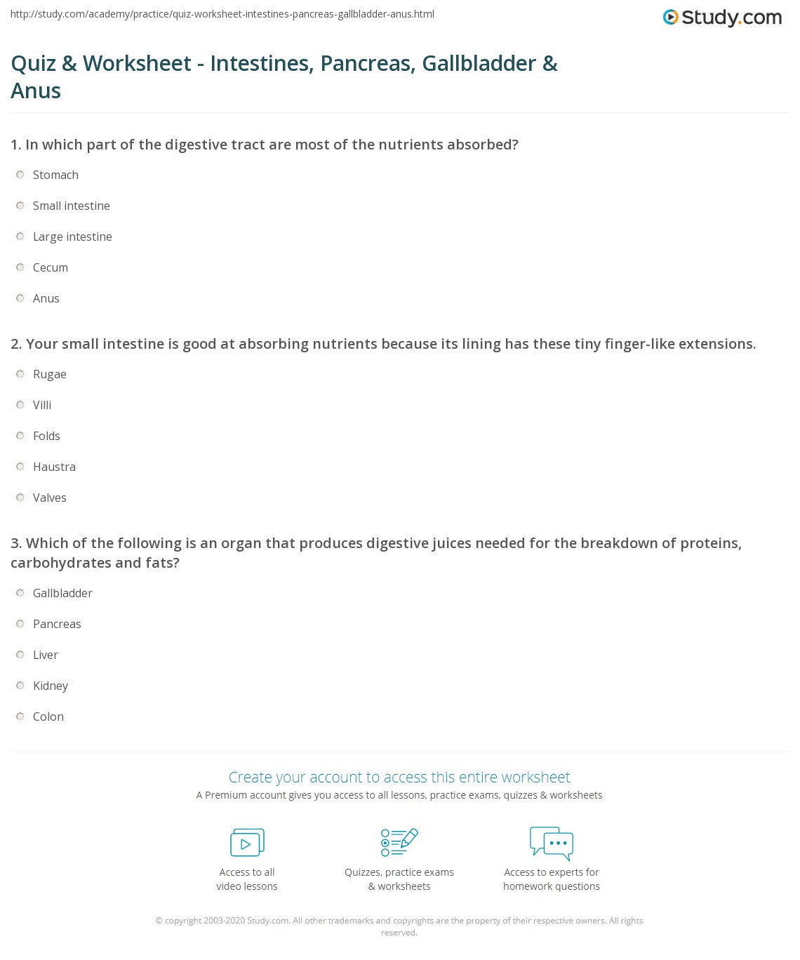 Quiz & Worksheet - Intestines, Pancreas, Gallbladder & Anus | Study.com