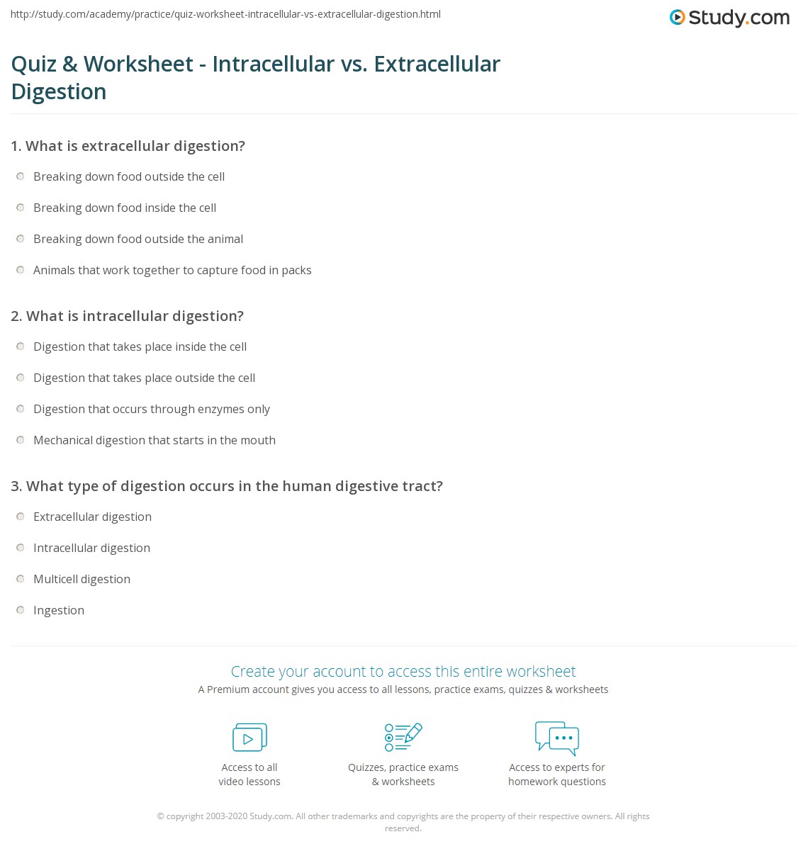 Quiz & Worksheet - Intracellular vs. Extracellular Digestion | Study.com