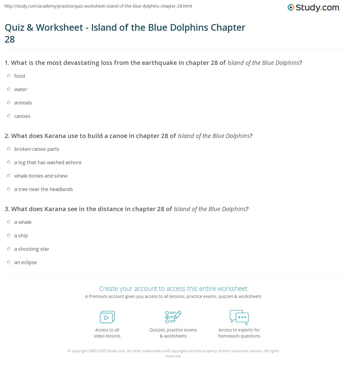 Quiz & Worksheet - Island of the Blue Dolphins Chapter 28 | Study.com