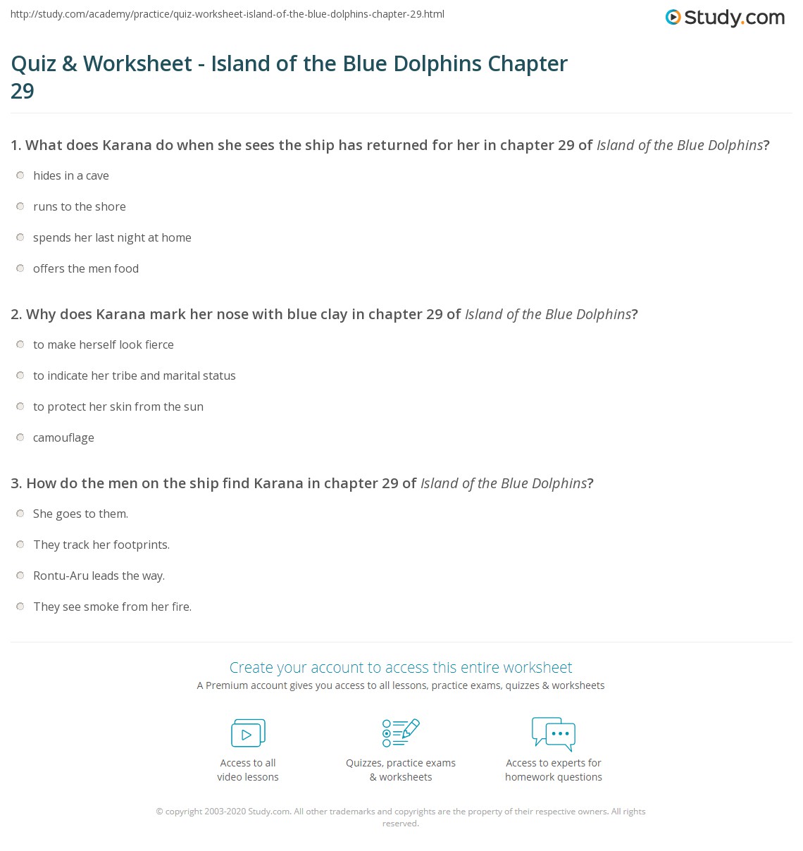 Quiz & Worksheet - Island of the Blue Dolphins Chapter 29 | Study.com