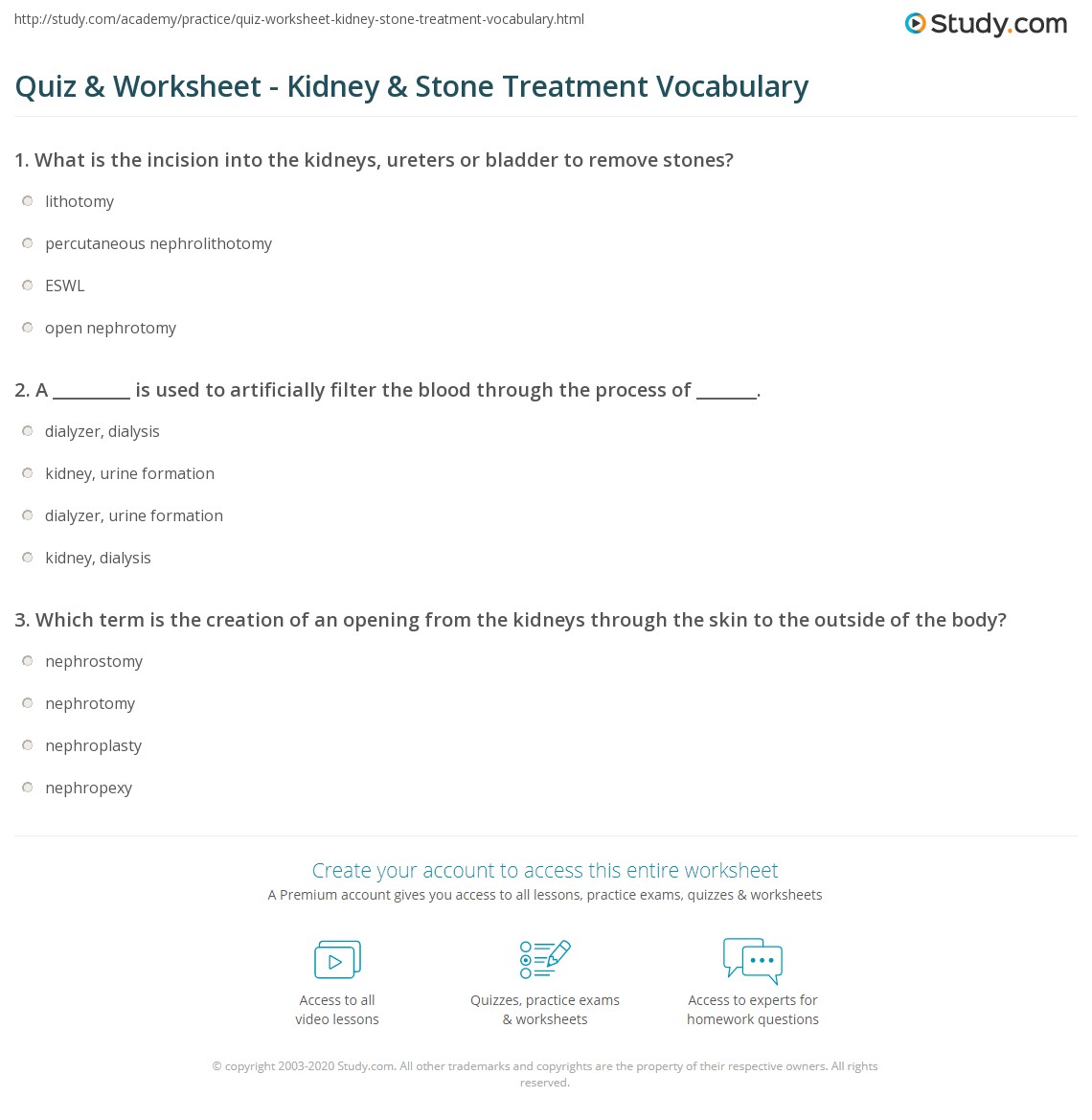 Quiz & Worksheet - Kidney & Stone Treatment Vocabulary | Study.com