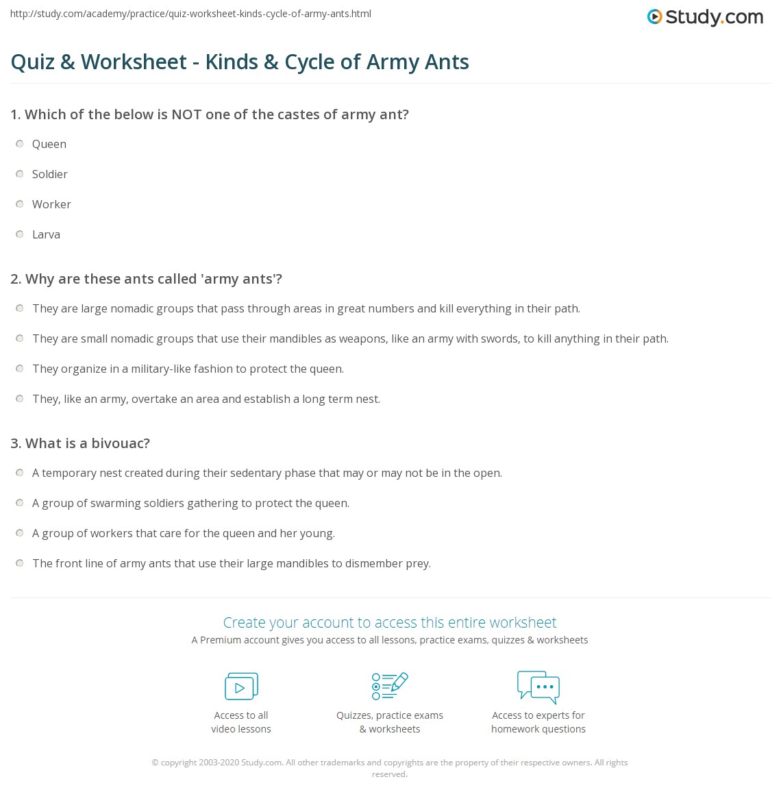 Quiz & Worksheet - Kinds & Cycle of Army Ants | Study.com