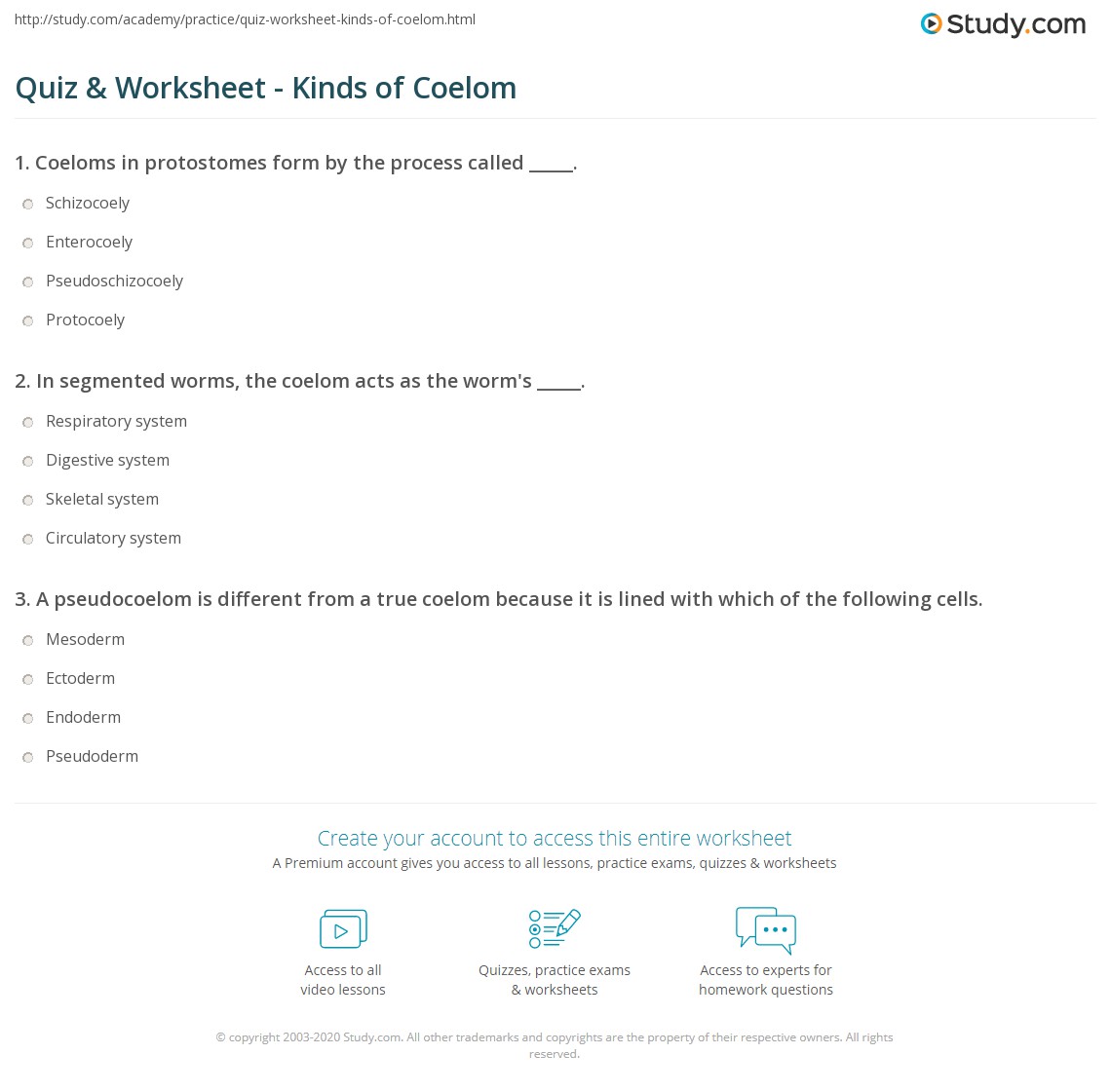 Quiz & Worksheet - Kinds of Coelom | Study.com