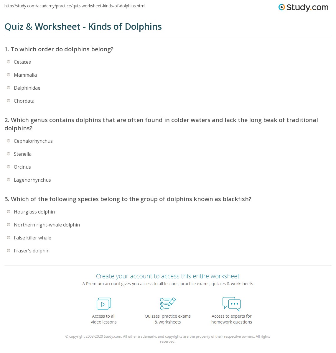 Quiz & Worksheet - Kinds of Dolphins | Study.com