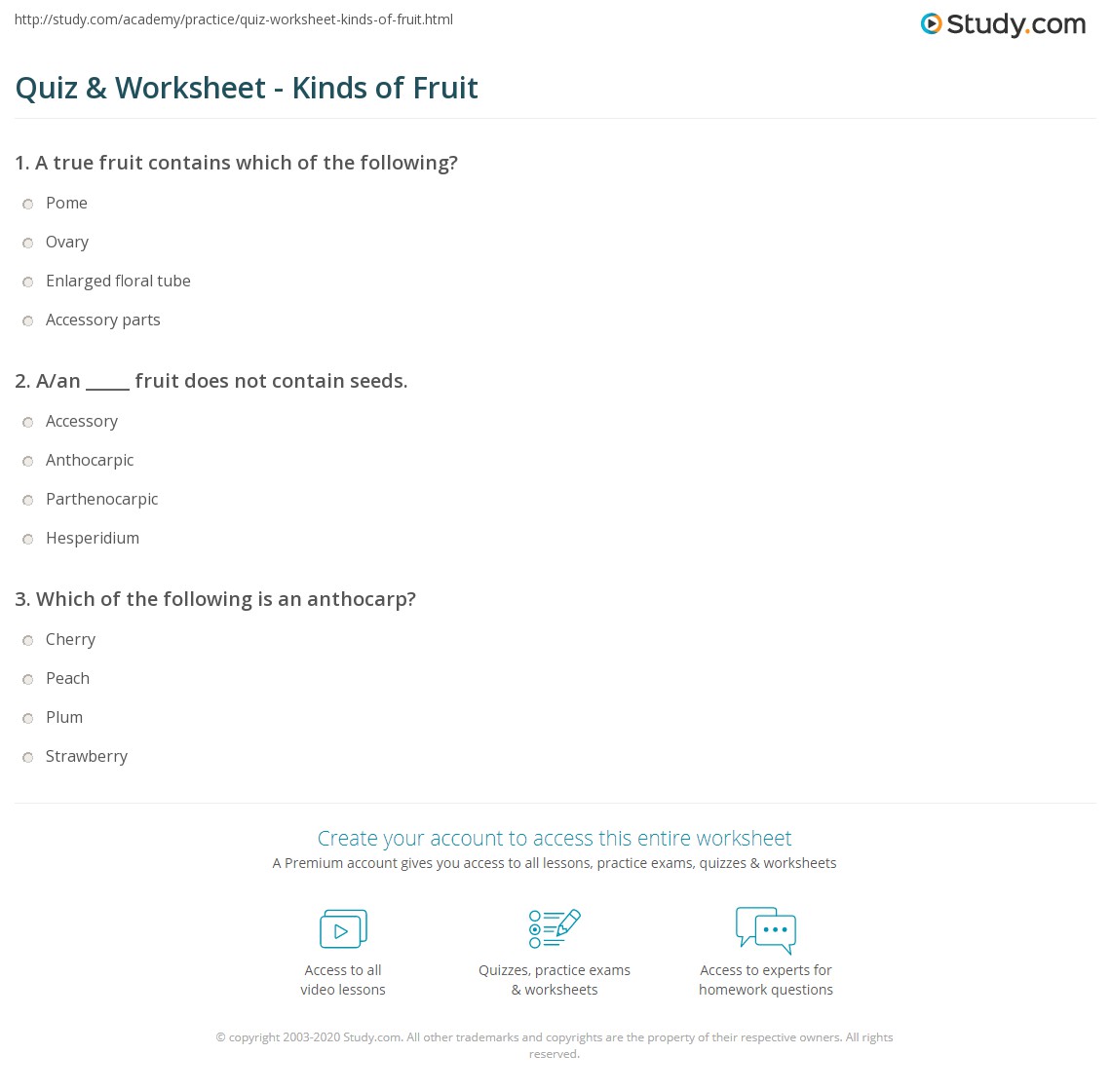 Quiz & Worksheet - Kinds of Fruit | Study.com