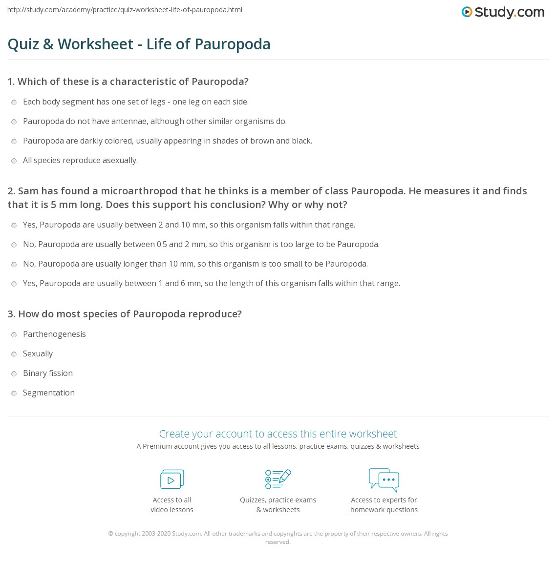 Quiz & Worksheet - Life of Pauropoda | Study.com