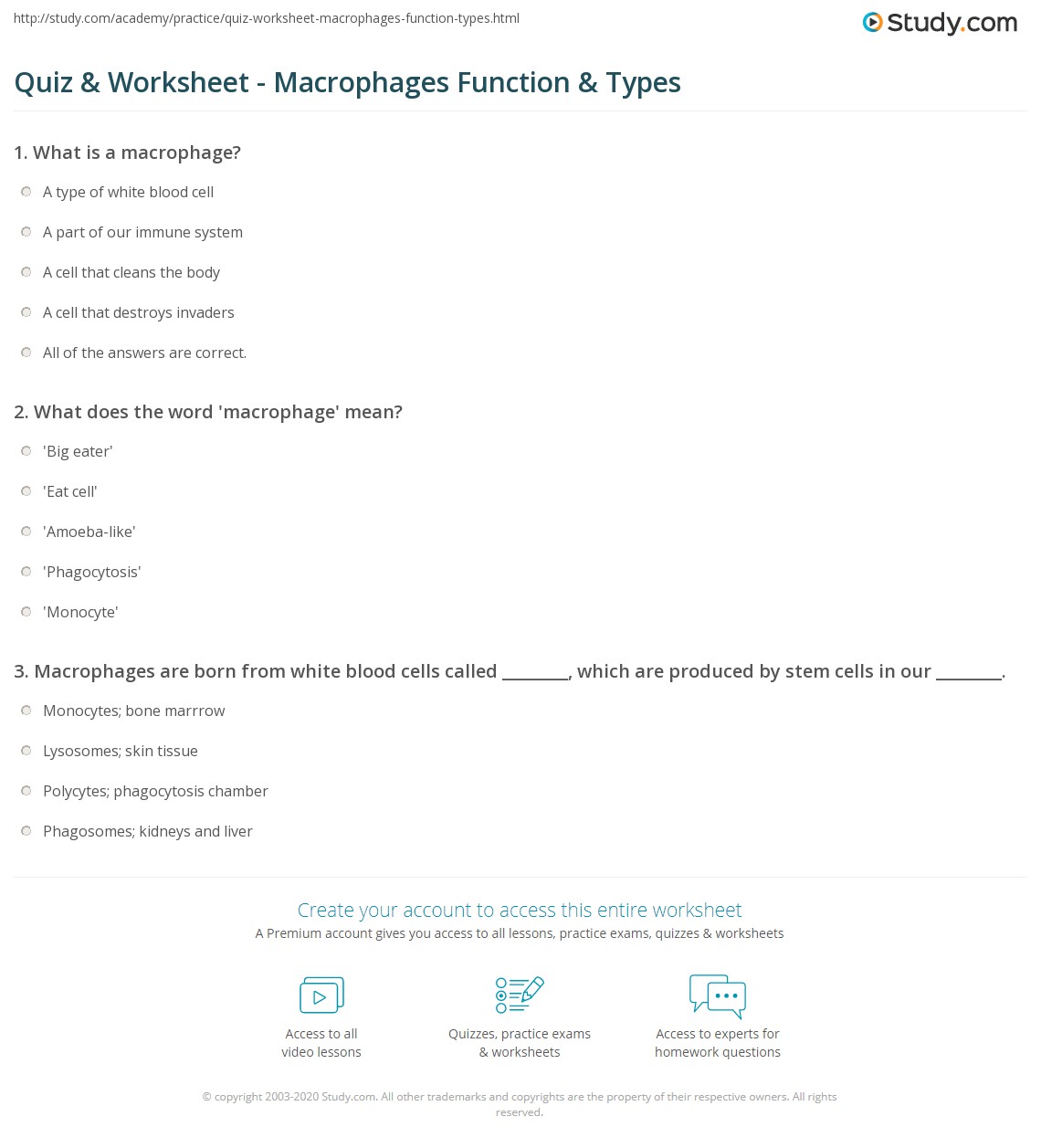 Quiz Worksheet Macrophages Function Types Study