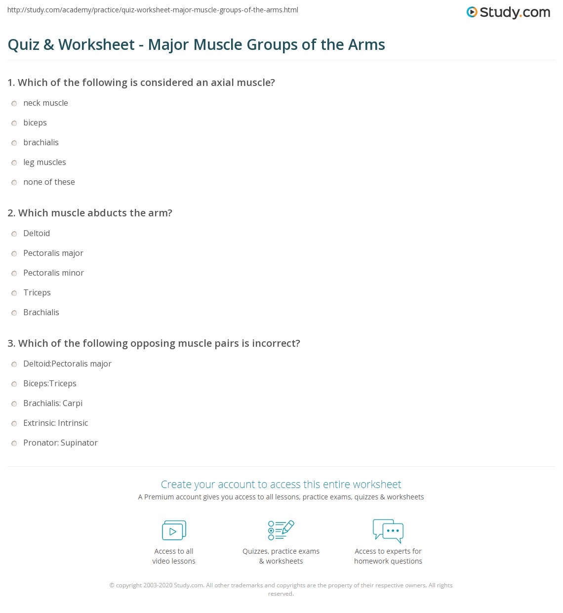 Quiz & Worksheet - Major Muscle Groups of the Arms | Study.com