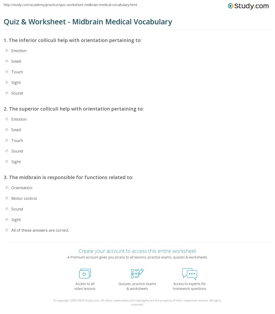 Quiz & Worksheet - Midbrain Medical Vocabulary | Study.com